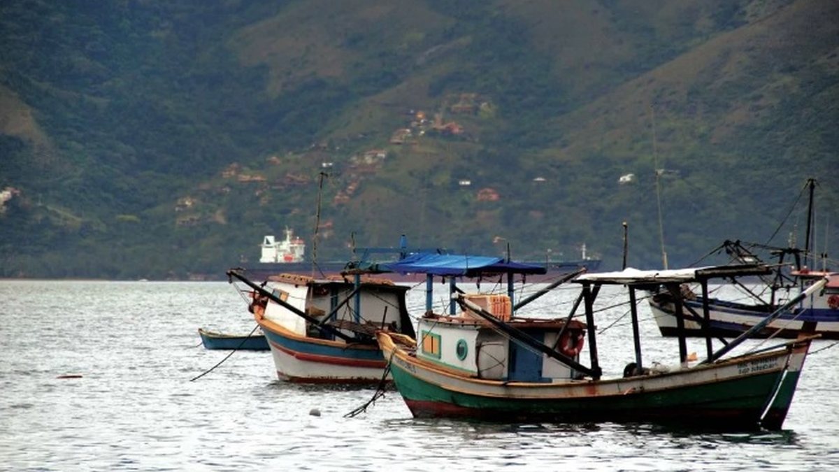 Curso não dá o peixe, mas ensina pescadores do litoral paulista a ... Curso não dá o peixe, mas ensina pescadores do litoral paulista a ...