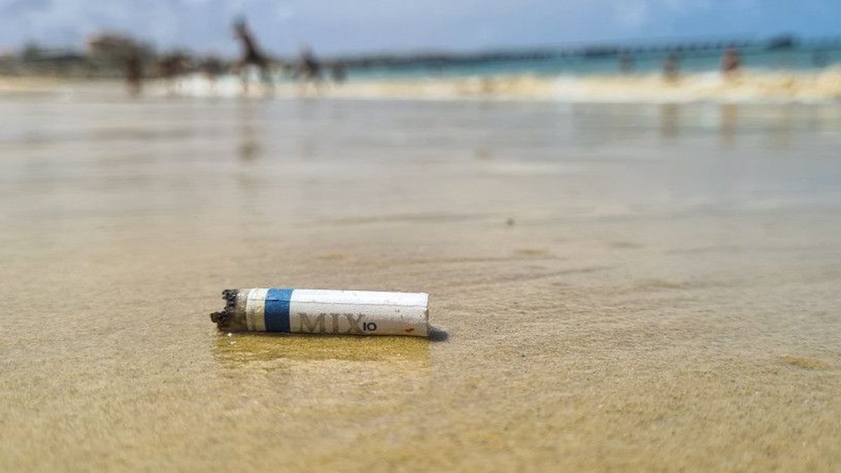 Bitucas de cigarro envenenam animais marinhos, mostra estudo da Unifesp