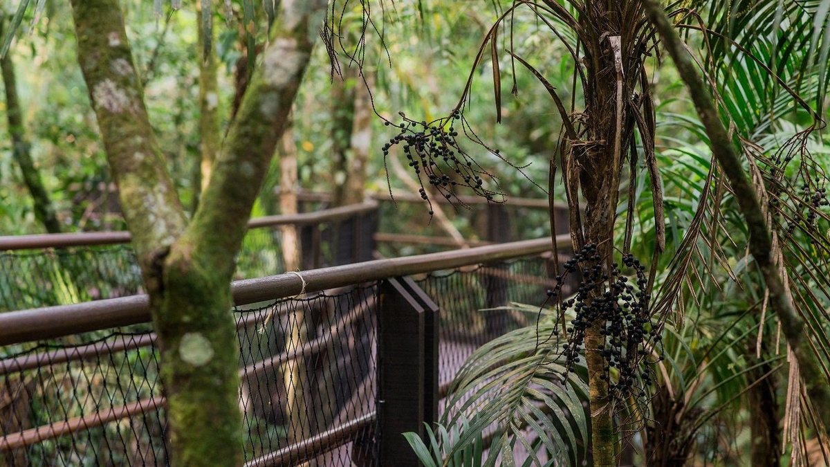 Alunos de Bertioga aprendem sobre natureza em passeio na reserva natural