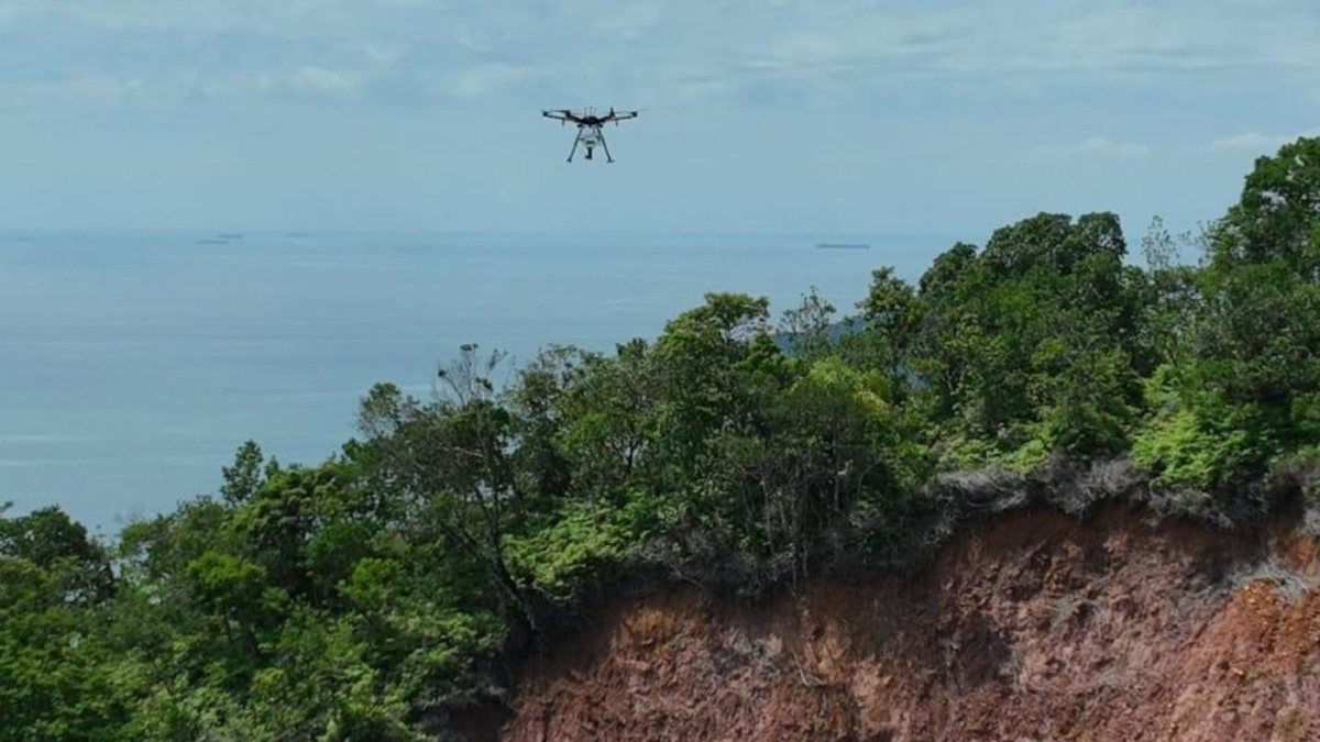 Projeto 'Restaura Litoral' conquista 2º lugar no prêmio SP Carbono Zero