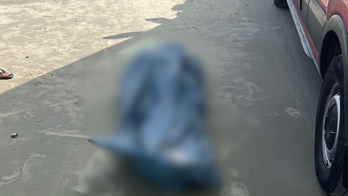 Banhista é arrastado contra rochas, perde a consciência e morre no mar ...