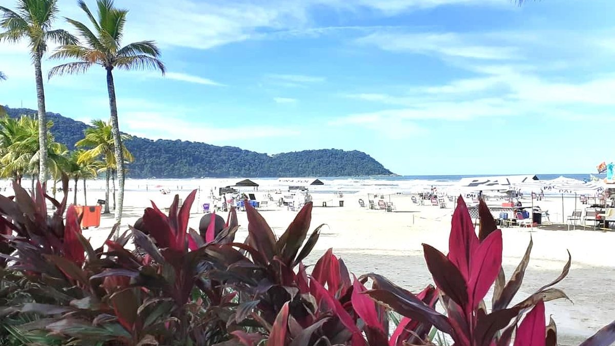 Bora mergulhar? Confira a balneabilidade das praias da Baixada Santista neste fim de semana