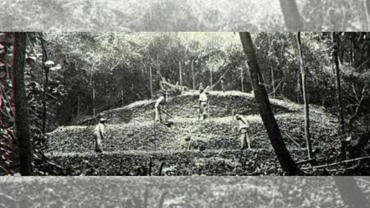 Conheça a história dos sambaquis de Guarujá, estruturas de mais de 8 ...